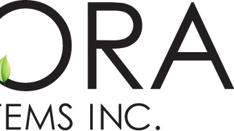 Lorax-Logo – Veteran Horizons LLC